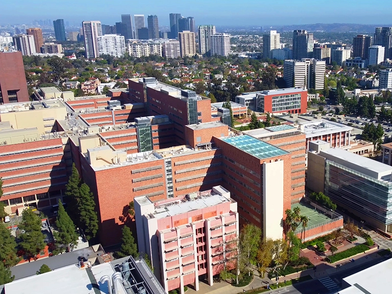 UCLA Global
